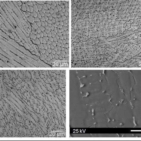Solidification Cracking Observed In As Welded Microstructure Of Mod 3 Download Scientific