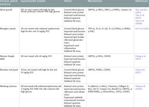 The Role Of Chinese Patent Medicine In The Regulation Of Er Stress In Dn Download Scientific