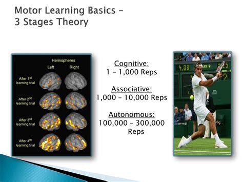 PPT Motor Learning And Control PE Professor Trujillo PowerPoint Presentation ID