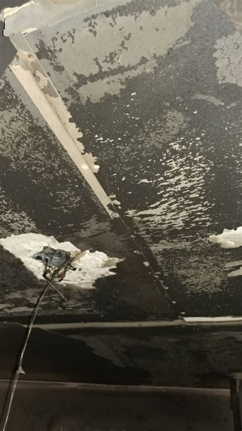 Why You Shouldnt Use Rubbing Alcohol To Kill Bed Bugs Rbedbugs