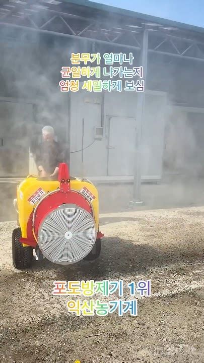 익산농기계 국내유일 국내생산 차륜보행식 Ss기 포도밭 필수장비 전남 함평 포도밭도 접수 익산농기계 방제기 포도방제기 Ss기 과수원 샤인머스킷 포도 스피드