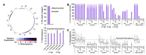 学术资源mitosalt：基于ngs数据分析线粒体基因组的缺失和重复