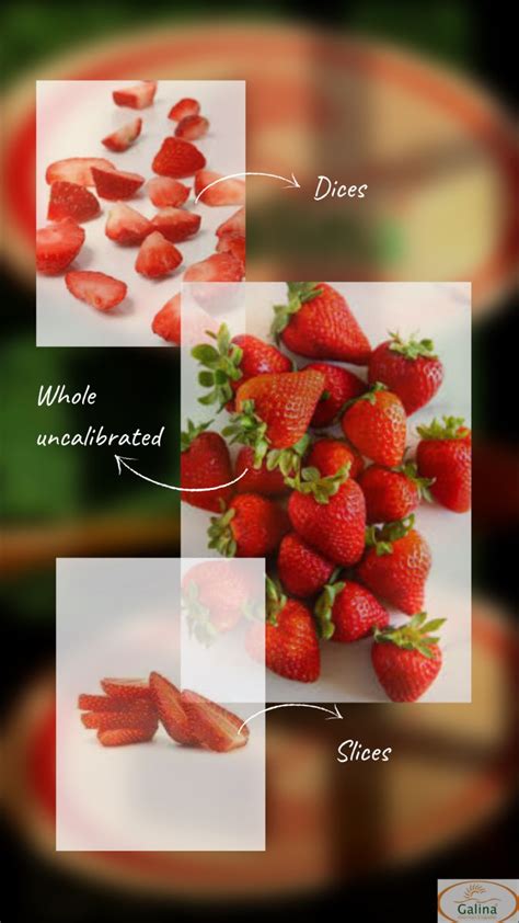 Salma Hesham On Linkedin My Work For Galina