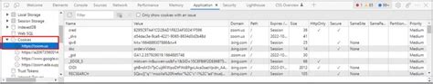 how to check cookies in browser chrome and microsoft cookies