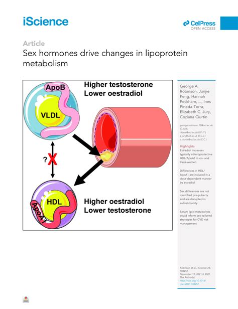 PDF Sex Hormones Drive Changes In Lipoprotein Metabolism