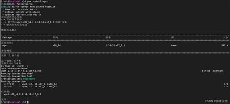 Vmware虚拟机安装nginx详细步骤vmware Workstation Pro主机安装nginx Csdn博客