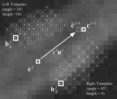 Iterative Vesselneurite Tracing Algorithm Starting With Initial