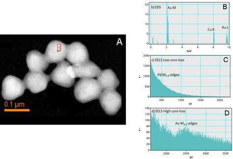 Fast Stem Spectrum Imaging Using Simultaneous Eels And Eds In