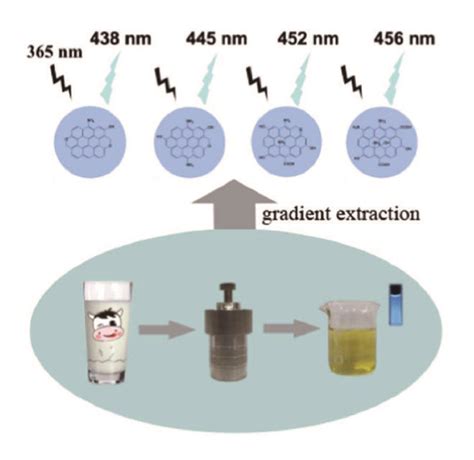 Schematic Illustration Of The Fabrication Gradient Extraction And Download Scientific Diagram