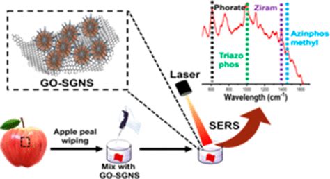 Rapid Solution Based Sers Detection Of Pesticides Using Graphene Oxide Coated Silver Gold