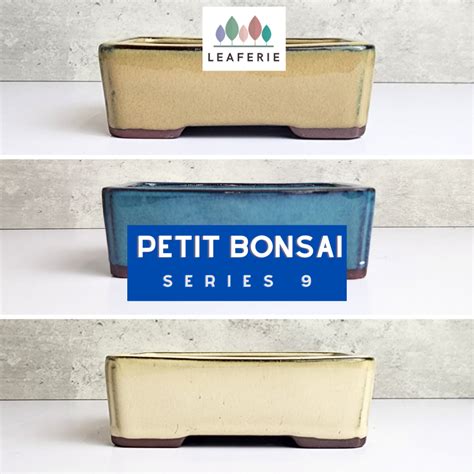 The Leaferie Petit Bonsai Pot Series 9 Rectangular Plant Pot