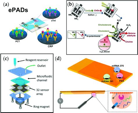 electrochemical biosensor array for multiplexed detection at kristie