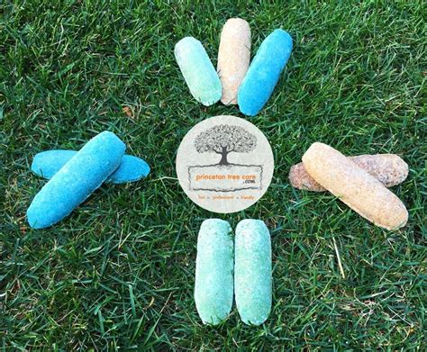 Why Use Tree Nutrients Princeton Tree Care