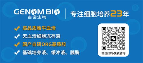 Applied Mathematics And Computation 5年平均影响因子母语润色发文量期刊简介期刊点评审稿时间期刊