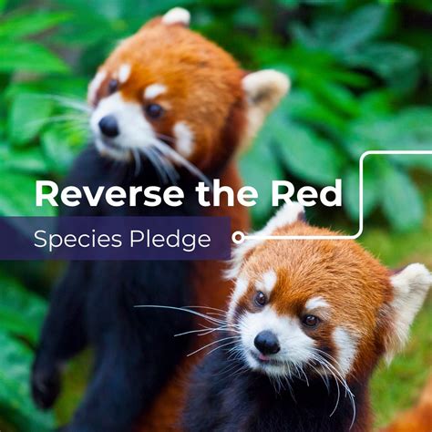 Register For Free Be Part Of A Global Voice For Nature Karen Fifield