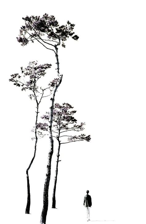 Simple Watercolor Tree Painting