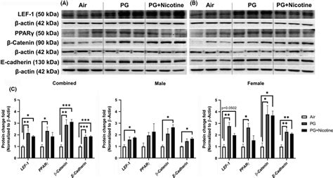 Acute Exposure To Inhaled E‐cig Aerosols Containing Pg With Or Without Download Scientific