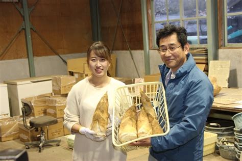 県内のトップを切って県産たけのこ初出荷新着一覧JA小松市