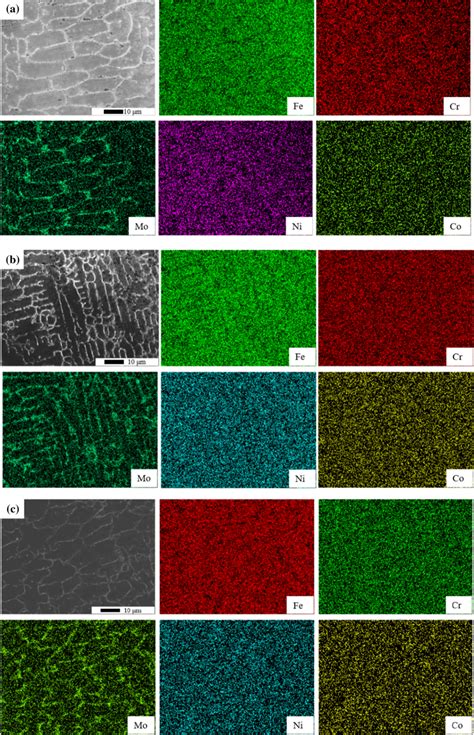 Microstructure Element Scanning Of The Feconicrmox Heas Coatings In Download Scientific Diagram