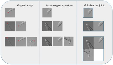 applied sciences free full text multi mode multi feature joint