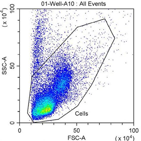 A Fully Automated Walkaway Flow Cytometry Workflow
