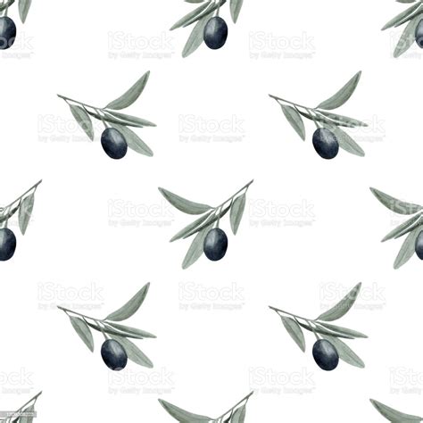 흰색 배경에 고립 된 트렌디 한 흑백 흙 색조에 검은 과일이있는 올리브 가지와 수채화 원활한 패턴 배경 주제에 대한 스톡 벡터 아트 및 기타 이미지 Istock