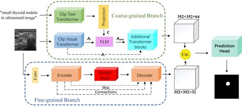 논문 리뷰 Clip Tnseg A Multi Modal Hybrid Framework For Thyroid Nodule