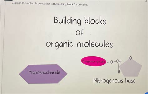Solved Click On The Molecule Below That Is The Building