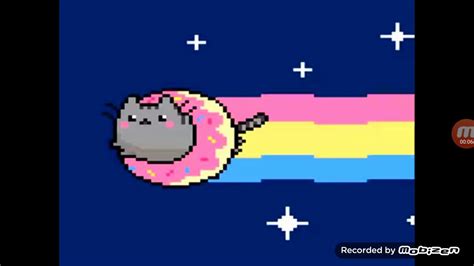 Pusheen Nyan Cat