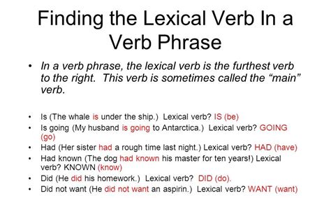 What is Lexical Verb? - English Grammar solution