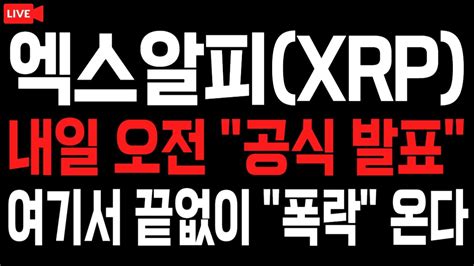 엑스알피 리플 코인 내일 오전 공식 발표 터지고 여기서 끝없이 폭락 올겁니다 엑스알피코인 리플코인 Xrp 엑스알피전망 리플전망 엑스알피분석 리플