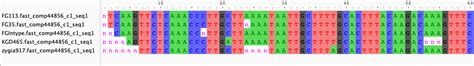 alignment — bioinformatics rbge documentation