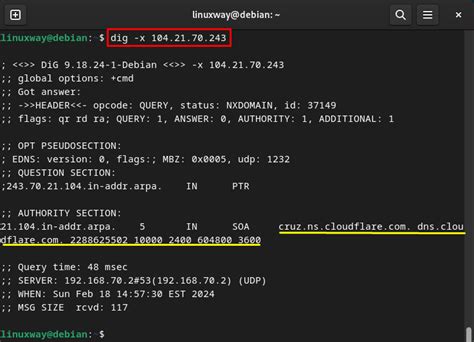 How To Install And Use Dig On Debian 12 Linuxways