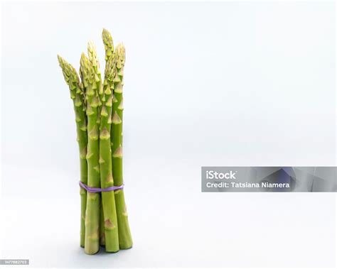 흰색 파란색 배경에 고립된 아스파라거스 식물 신선한 유기농 집에서 재배한 녹색 야채 바이오 음식 수평 평면 복사 공간 고품질 사진 0명에 대한 스톡 사진 및 기타 이미지
