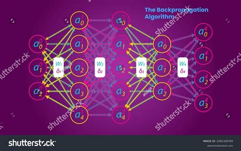 Backpropagation Algorithm Illustration Scientific Infographics Style Stock Vector Royalty Free