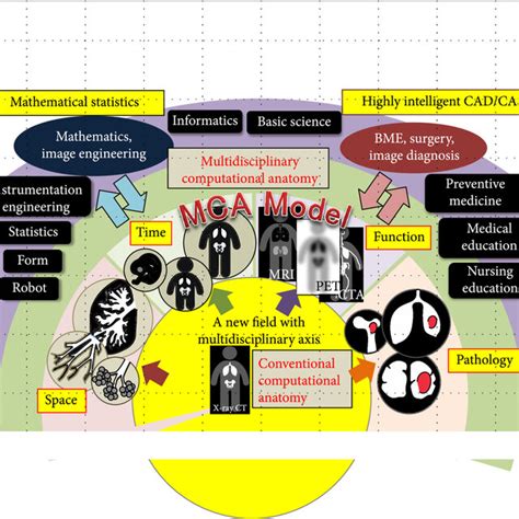 A New Field Of Multidisciplinary Computational Anatomy A Variety Of Download Scientific