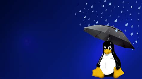 the value of linux server and linux cloud support bellsoft java