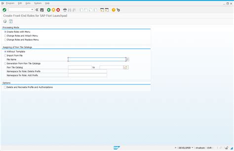 Mass Creation Of Fiori Roles Sap Security Pages