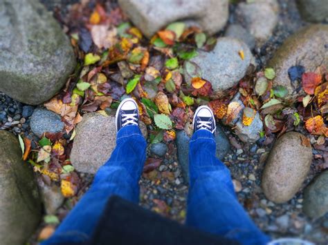 무료 이미지 자연 록 잎 생물학 가을 흙 시즌 지질학 깃 낭비 4864x3648 90600 무료 이미지 Pxhere