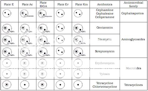 Microbial Assay Of Antibiotics