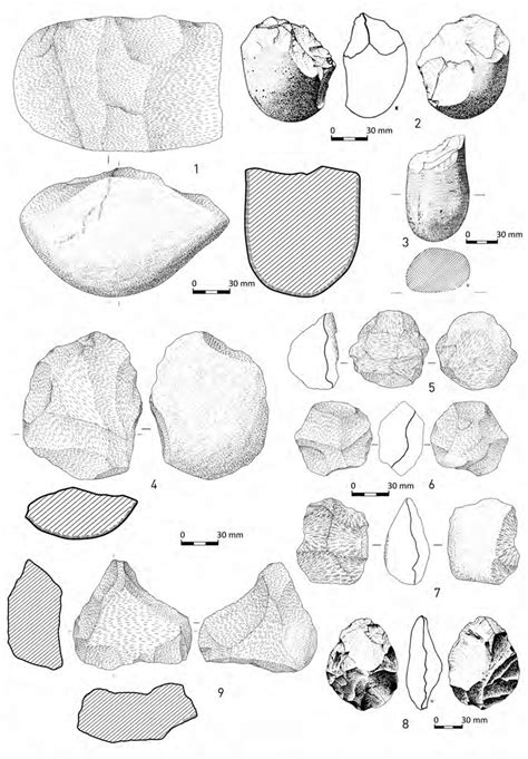 Exemples Of Different Types Of Cores 1 And 3 Monopolar 2 Download Scientific Diagram