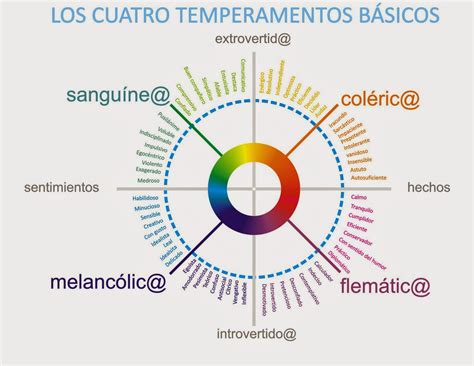 Alimentos De Acuerdo A Tu Temperamento Temperamentos Y Alimentos