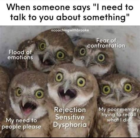 Meme Dumps Album On Imgur