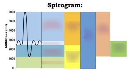 Spirogram Diagram Quizlet