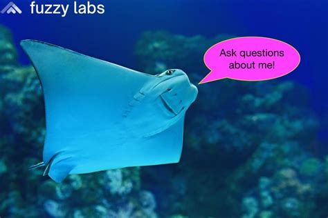 Llm Llmops Evaluation Rag Fuzzy Labs