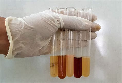 Rust Prevention Exergon