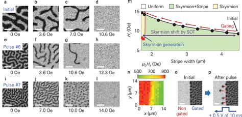 A Skyrmion Reservoir And A Skyrmion Generator Using Voltage‐controlled Download Scientific