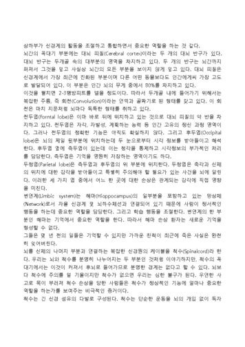 중추신경계의 구조와기능