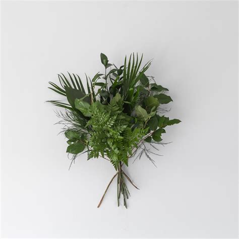 Bulk Mixed Greenery Standard Greens Bundle For Diy Bouquets