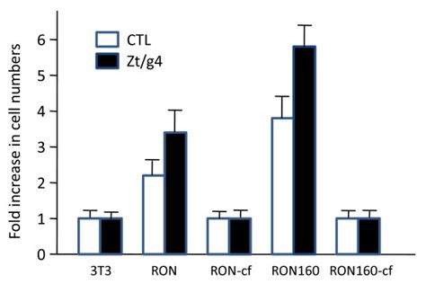 Effect Of C Terminal Truncation On Ron Ron160 Mediated Cell Download Scientific Diagram